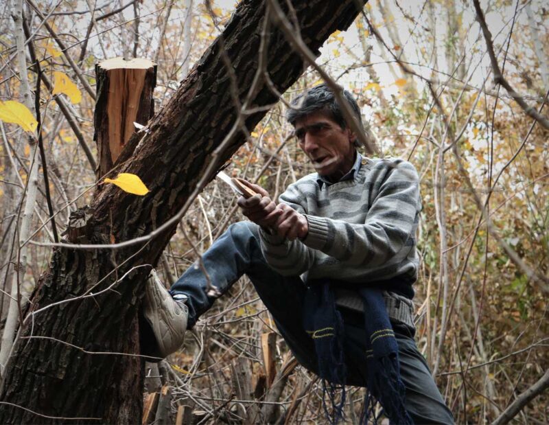 About-Stone-Roof - RoyDocs - Roya Rabbani official site